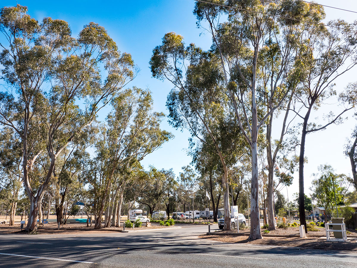 GALLERY : BIG4 Bendigo Marong Holiday Park : Marong, Victoria, Australia